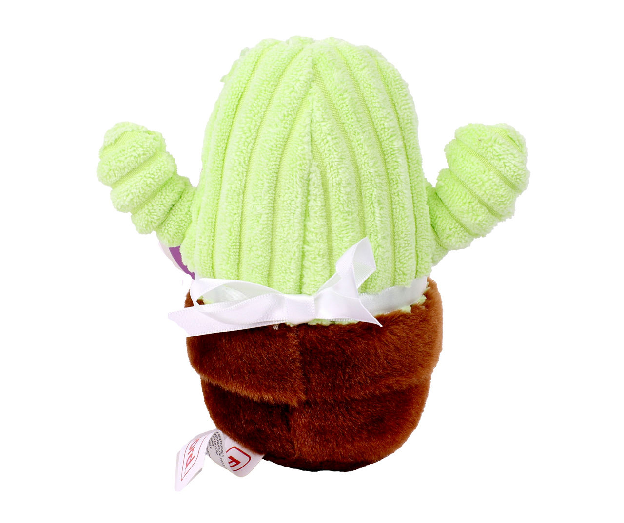 "Lookin' Sharp" Valentine's Cactus Plush & Gummy Set | Big Lots