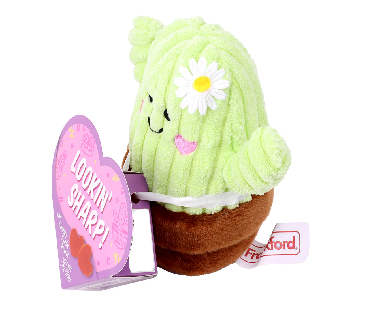 "Lookin' Sharp" Valentine's Cactus Plush & Gummy Set | Big Lots