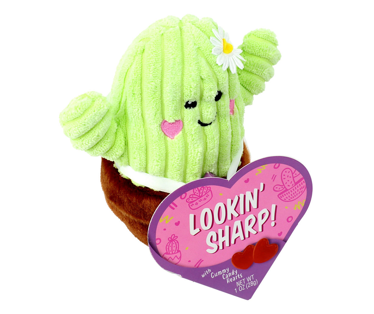 "Lookin' Sharp" Valentine's Cactus Plush & Gummy Set | Big Lots
