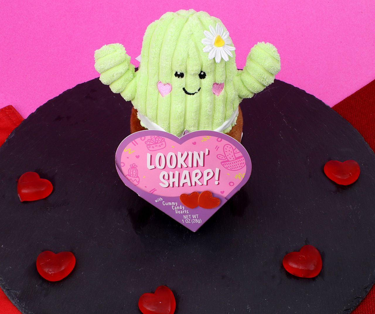 "Lookin' Sharp" Valentine's Cactus Plush & Gummy Set | Big Lots